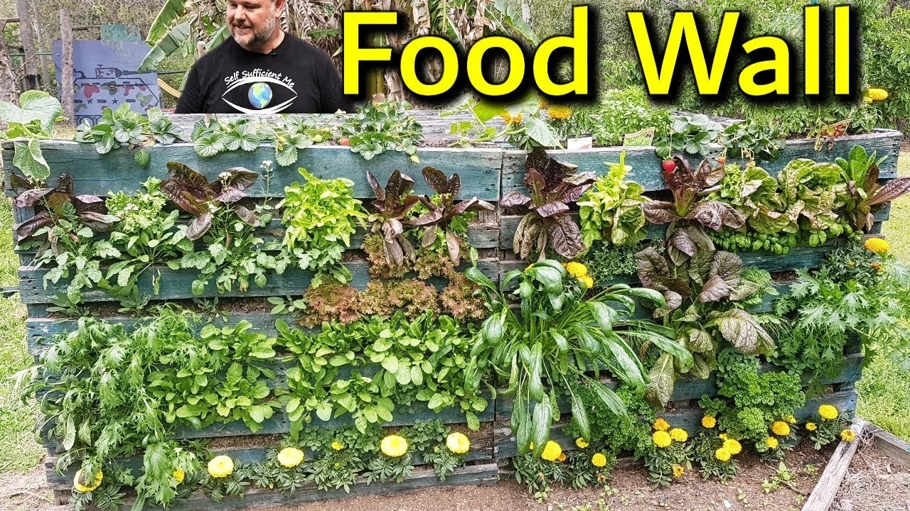 3 gardening upcycling hacks for growing in small spaces Ep4 S1