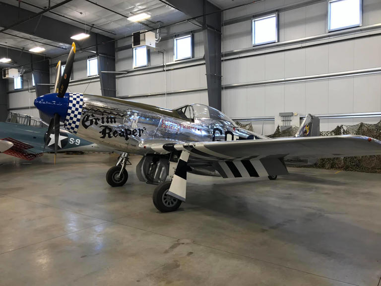 Randy Warbird Profiles: North American P-51D-20-NA, s/n 44-63701
