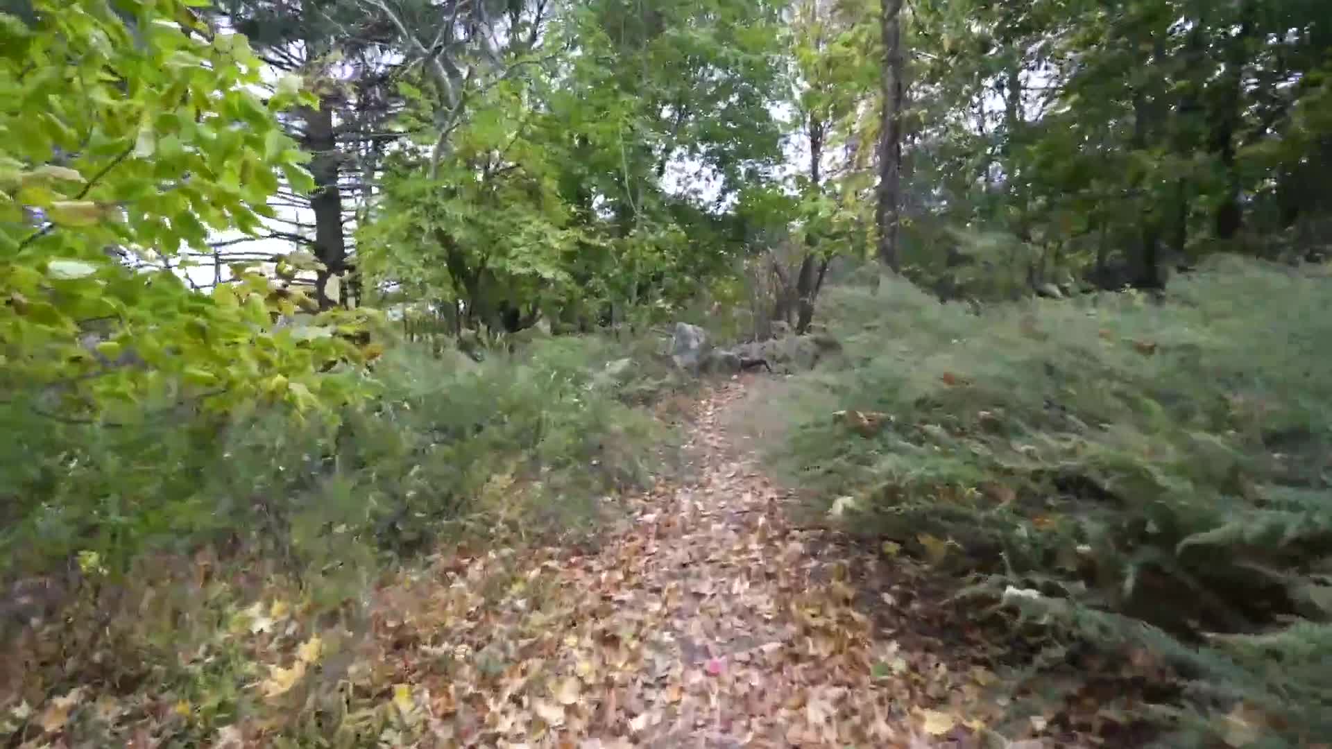 What They DON’T Tell You About the Real Silent Hill | Everyone ...