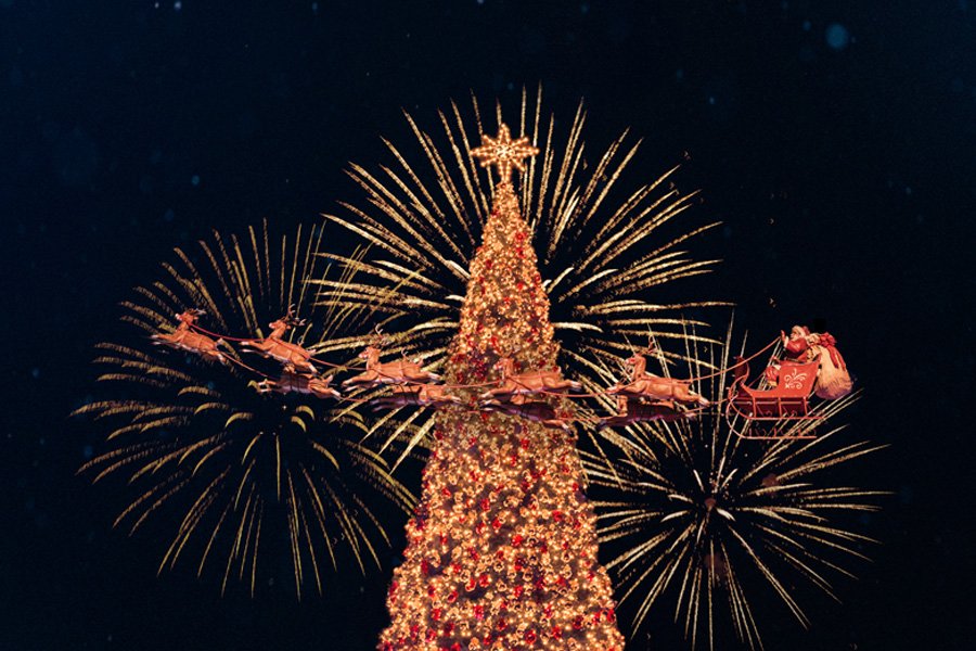THE GROVE: 24TH ANNUAL TREE LIGHTING CELEBRATION, LA