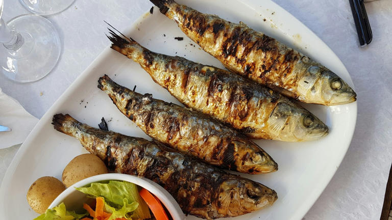 The Best Fish for Protein and Omega-3 Fatty Acids