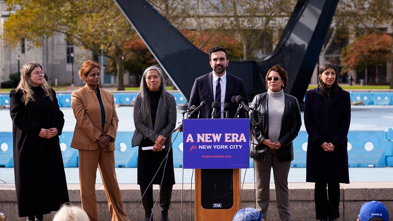 Mamdani's top incoming aide was 'chief architect' of radical proposal overhauling NYPD