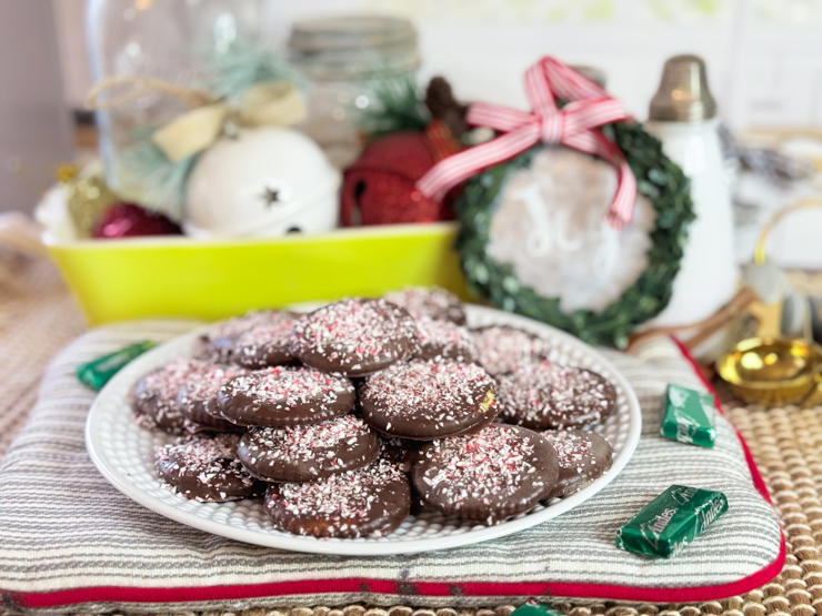 Ritz Cracker Thin Mints (No Bake, 2 Ingredients!)