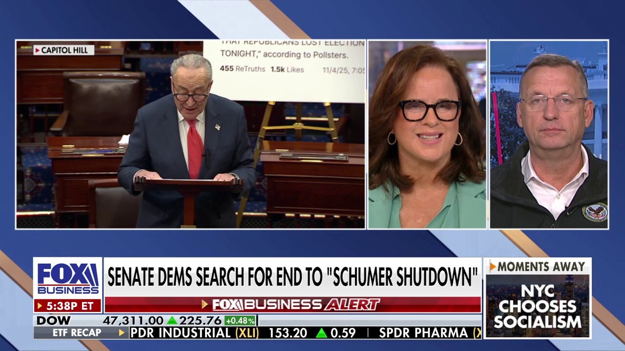 'Disturbing' that Democrats willing to put Americans through pain for a ...