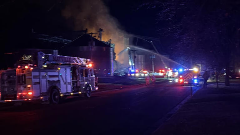Grain elevator fire burns in Hatton, North Dakota