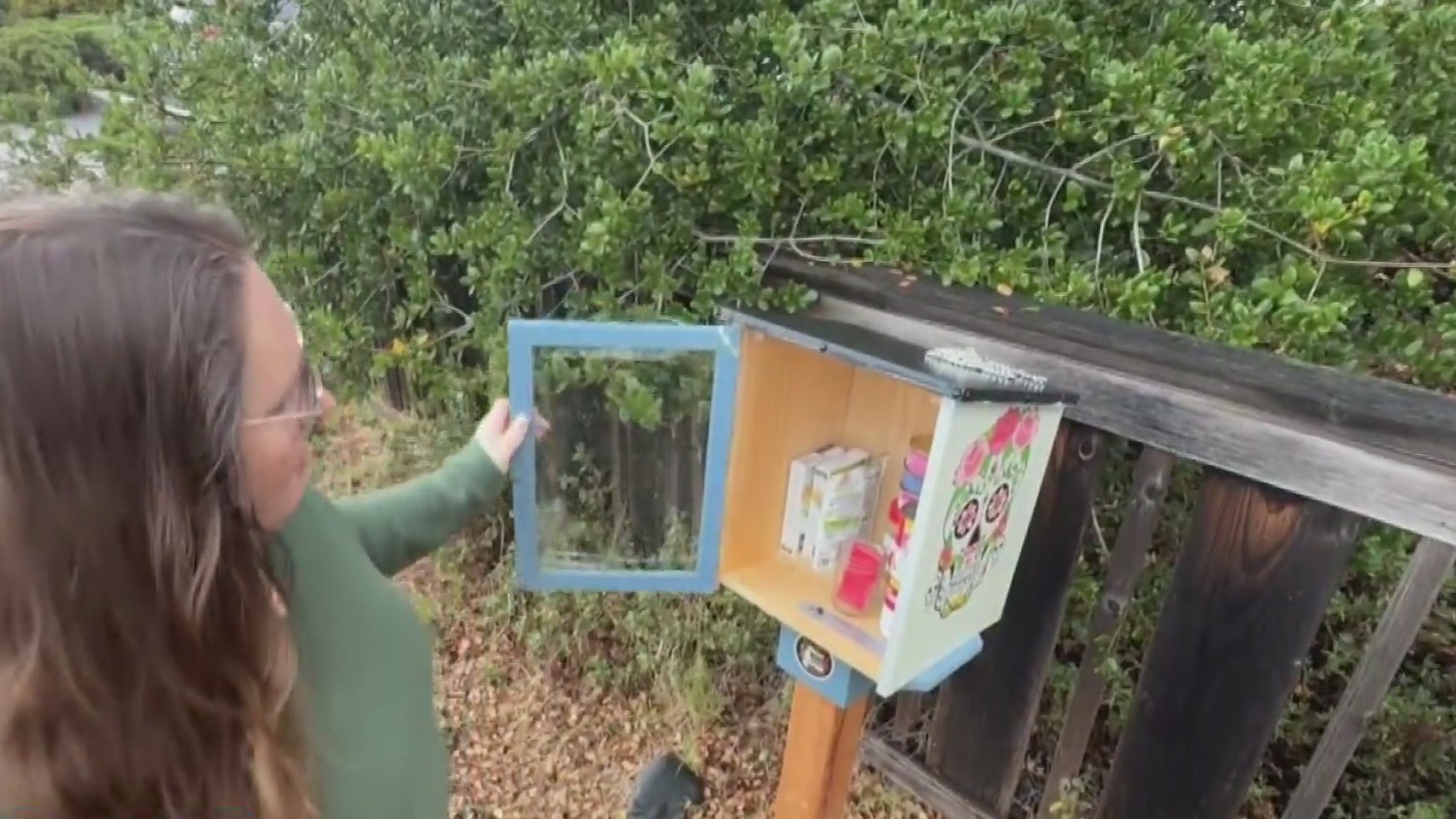 Novato woman transforms little free library into community pantry
