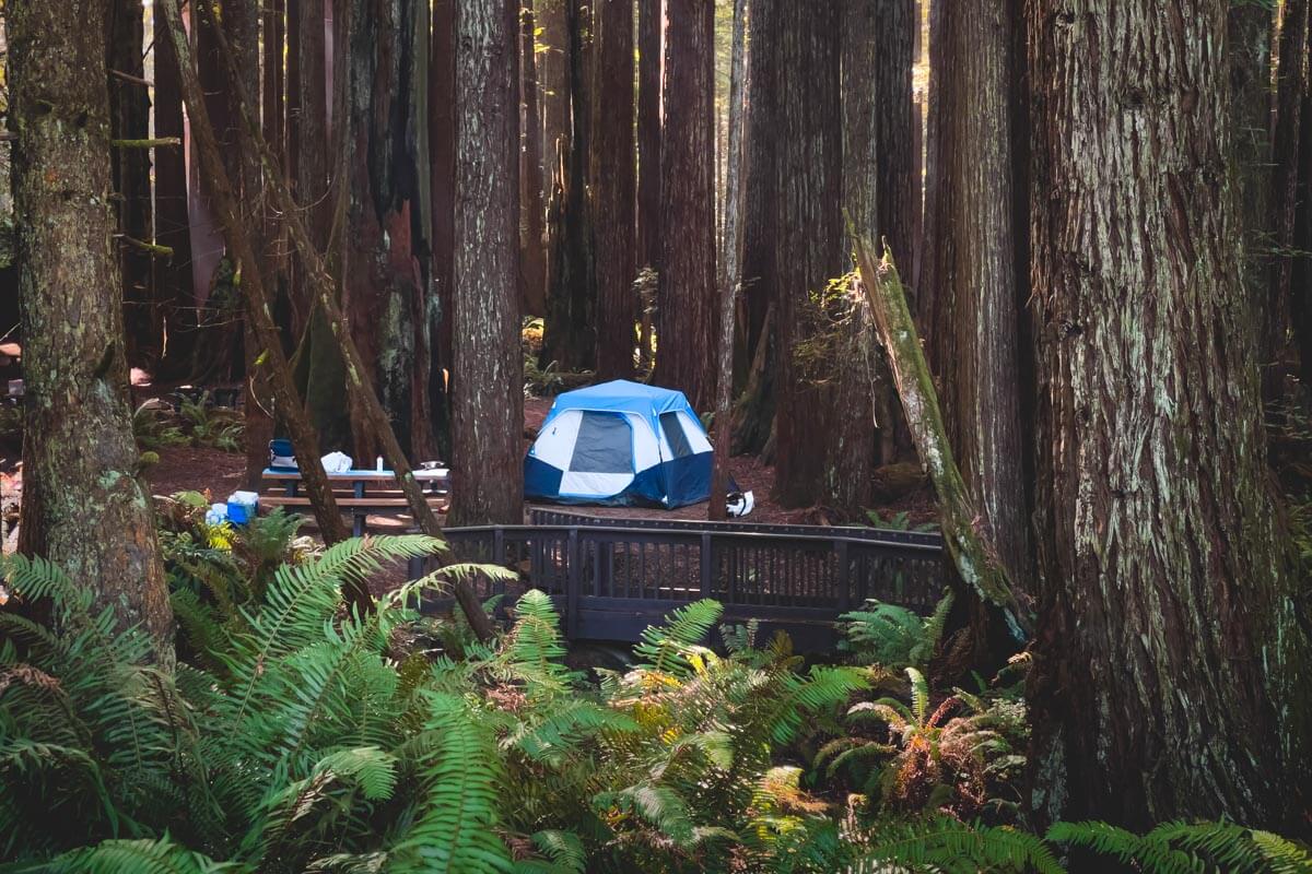 8 Best Campgrounds in San Diego County, California for Families to ...