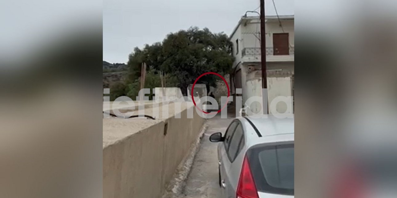 Βορίζια: «Δεν είναι ο άντρας μου στο βίντεο», λέει η αδελφή του Φανούρη ...