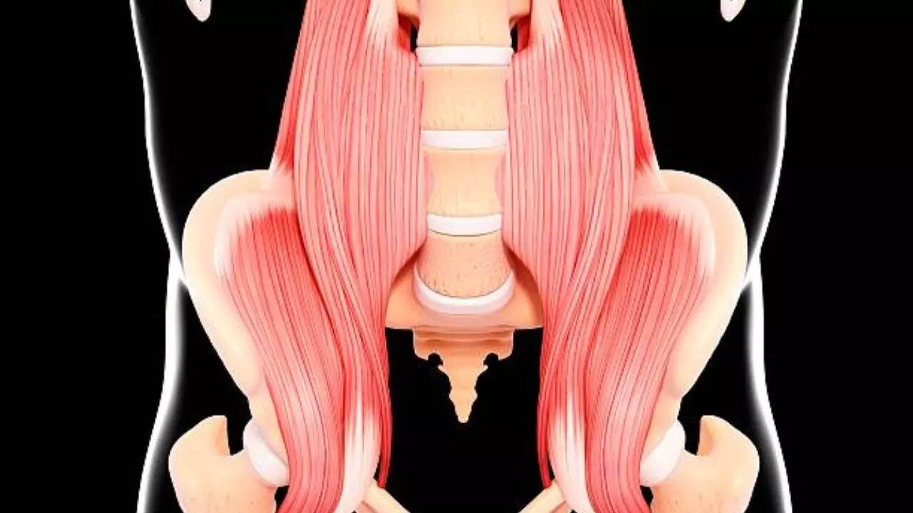 Sitting too long? 3 exercises to keep your hips strong and pain-free