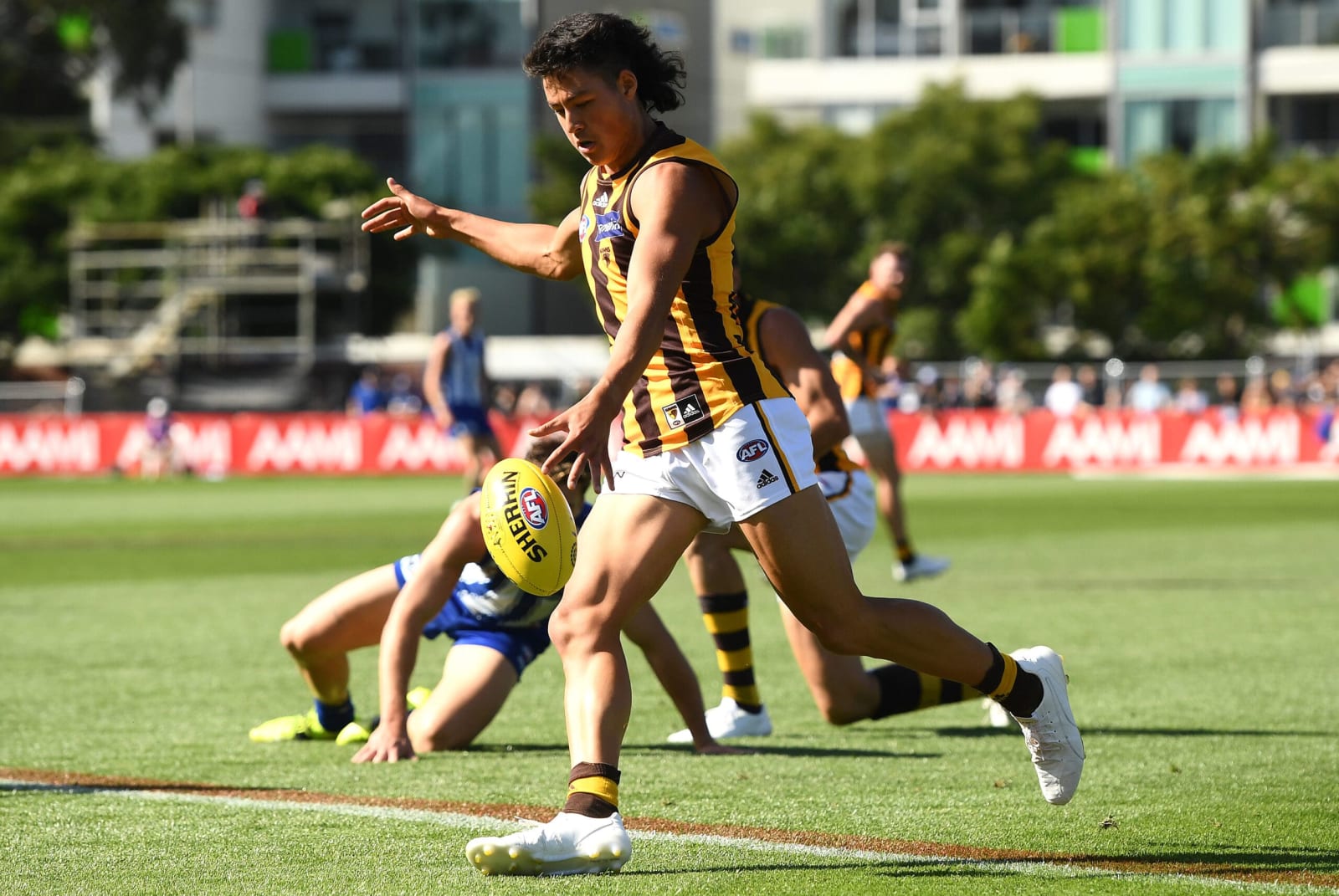 Former Hawk signs with VFL club