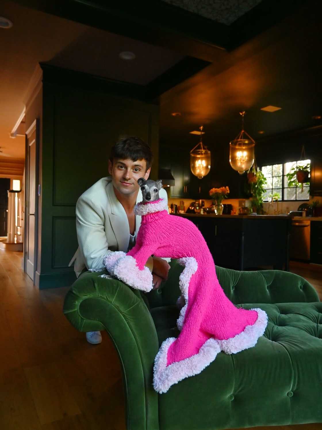 Fashion Influencer dog Tika the Iggy dies after surgery, dads painfully ...