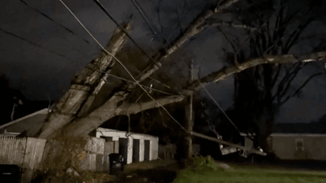 WATCH | Tree falls on car in Harrisburg as windy weather persists