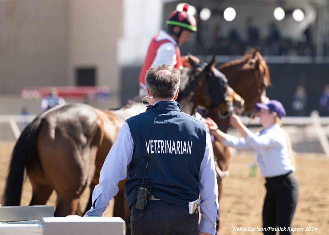 Letter To The Editor: Regulatory Vets Protect Horses And Racing's ...