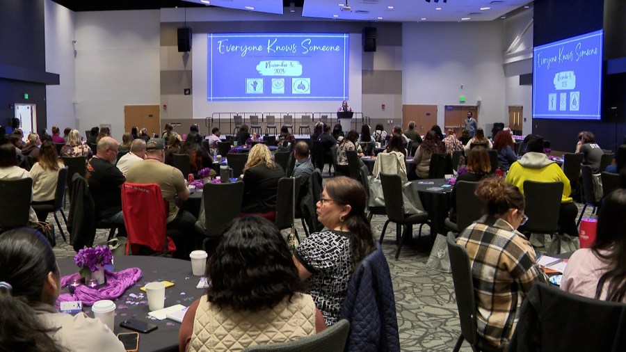 Inaugural Conference on Domestic Violence hosted by Fort Wayne, Allen ...