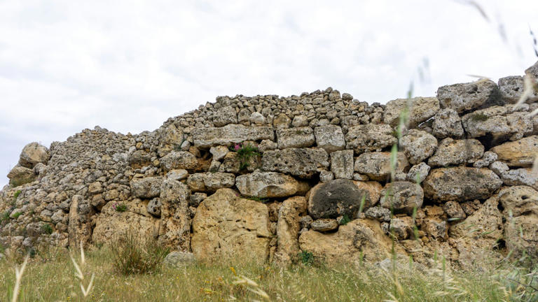 How This Discovery Changed Our Perception Of Prehistoric History