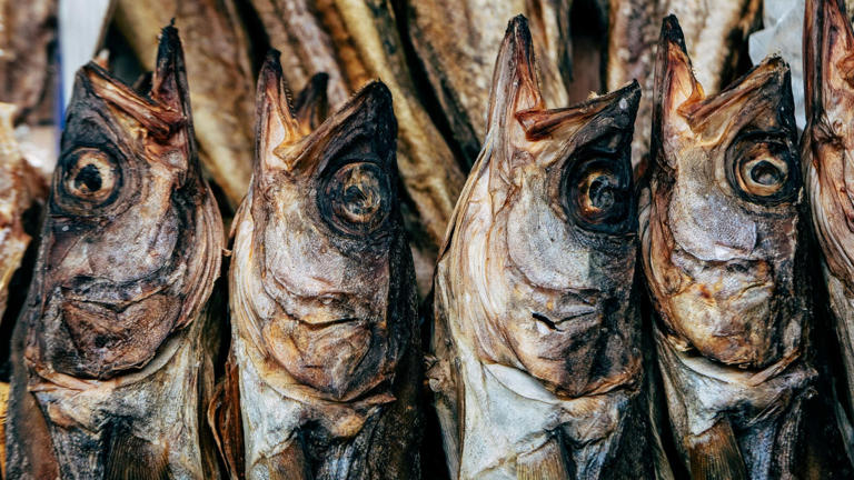 Schroders Australia appoints UBS Asset Management’s Alison Telfer as CEO