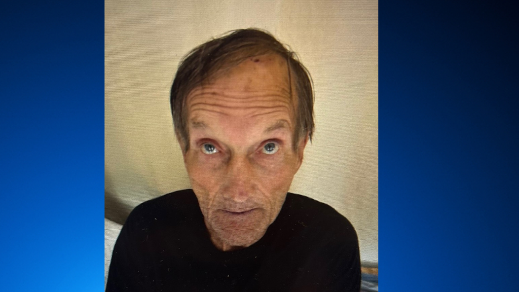 Itasca police seek public's help in locating missing endangered man ...