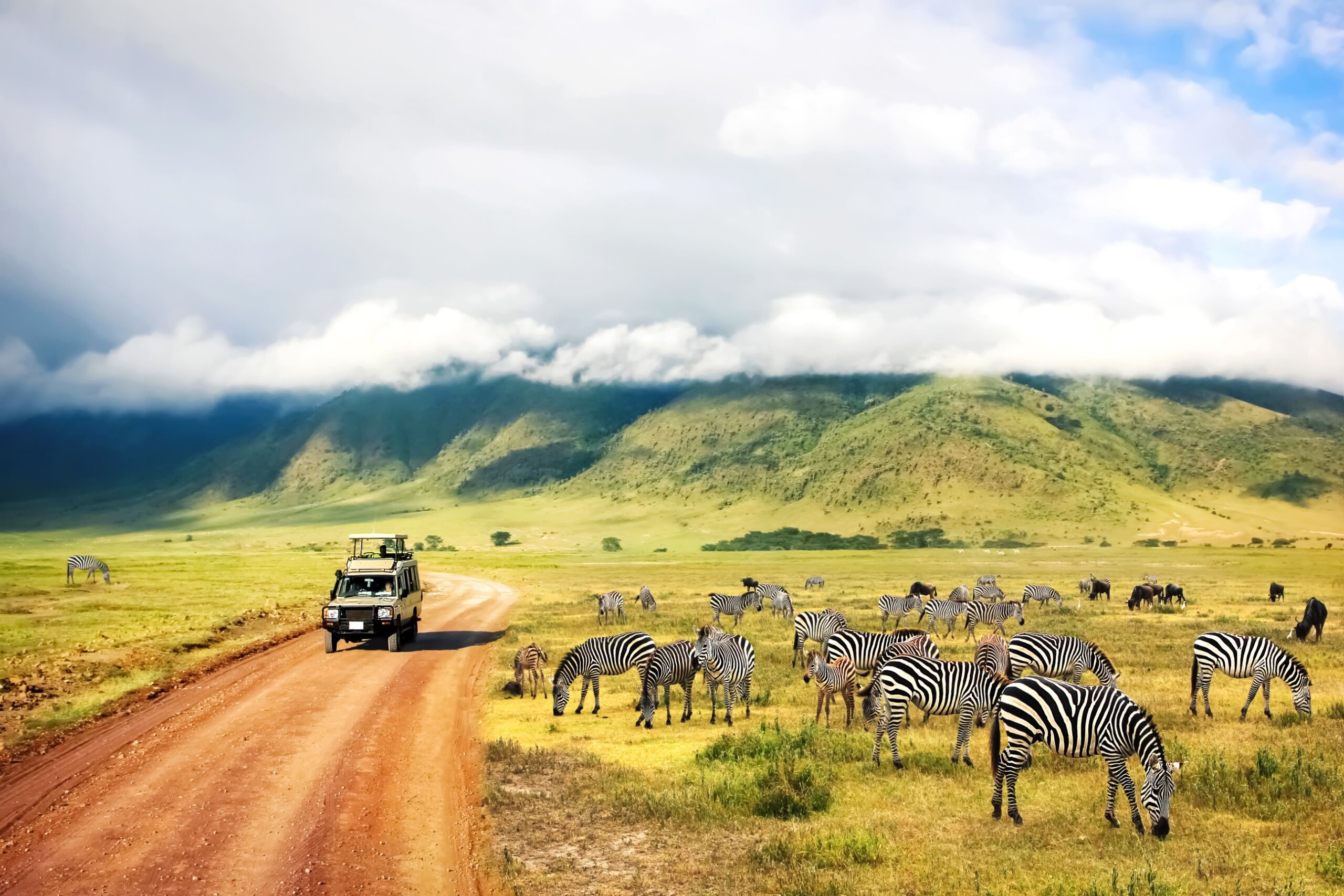 Urgent Travel Advisory Issued for Top Safari Destination