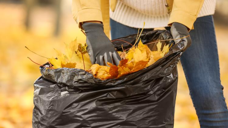 Marion County leaf collection to start Nov. 10 | What to know