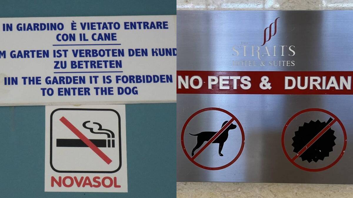 Some of the most quirky and witty signs spotted around town