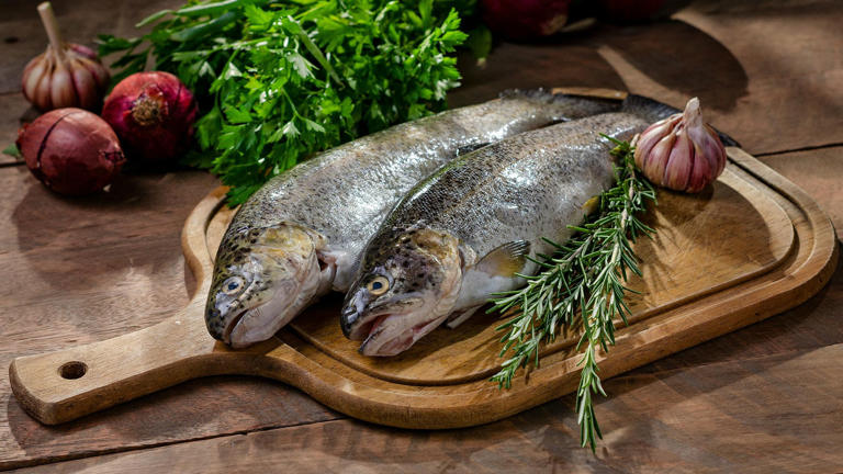 The Best Fish for Protein and Omega-3 Fatty Acids