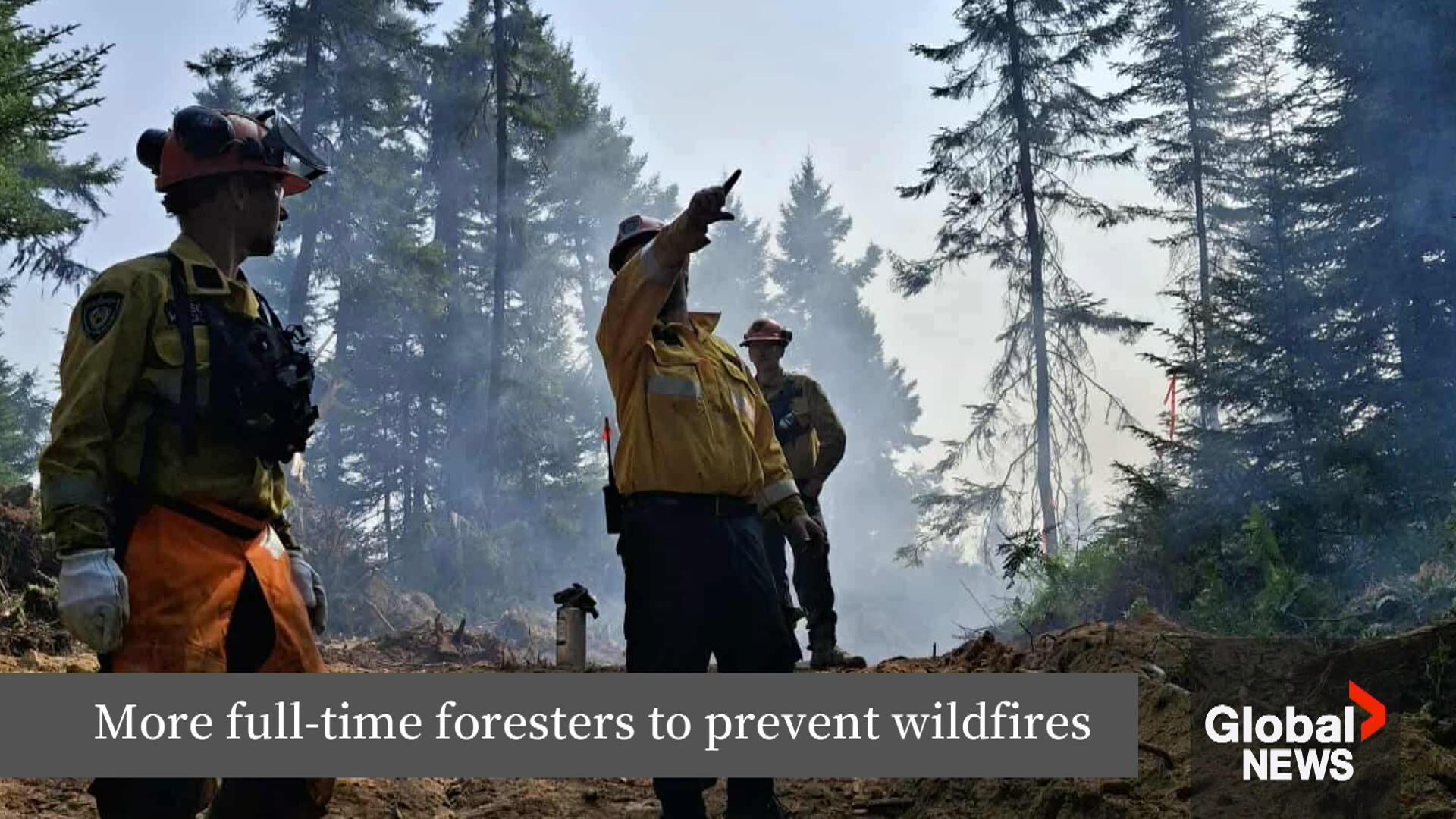 New Brunswick hopes more full-time forest rangers will prevent fires