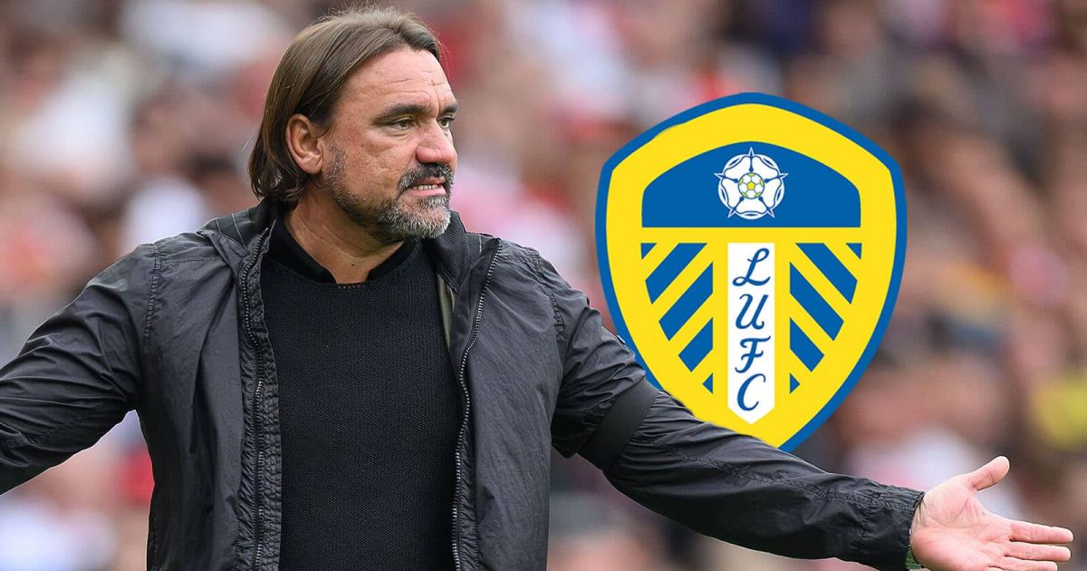 Leeds fans make true feelings on Daniel Farke sack clear as real blame ...