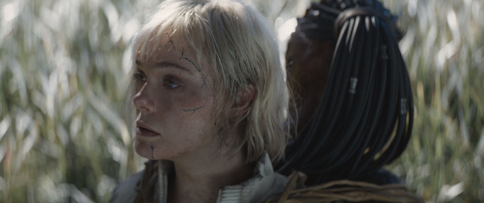 Elle Fanning protagoniza Predator: Badlands, el regreso más salvaje de ...