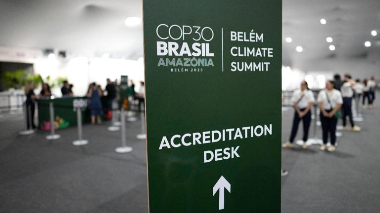 COP30: Governos têm desvalorizado contribuição dos jovens para a ação ...