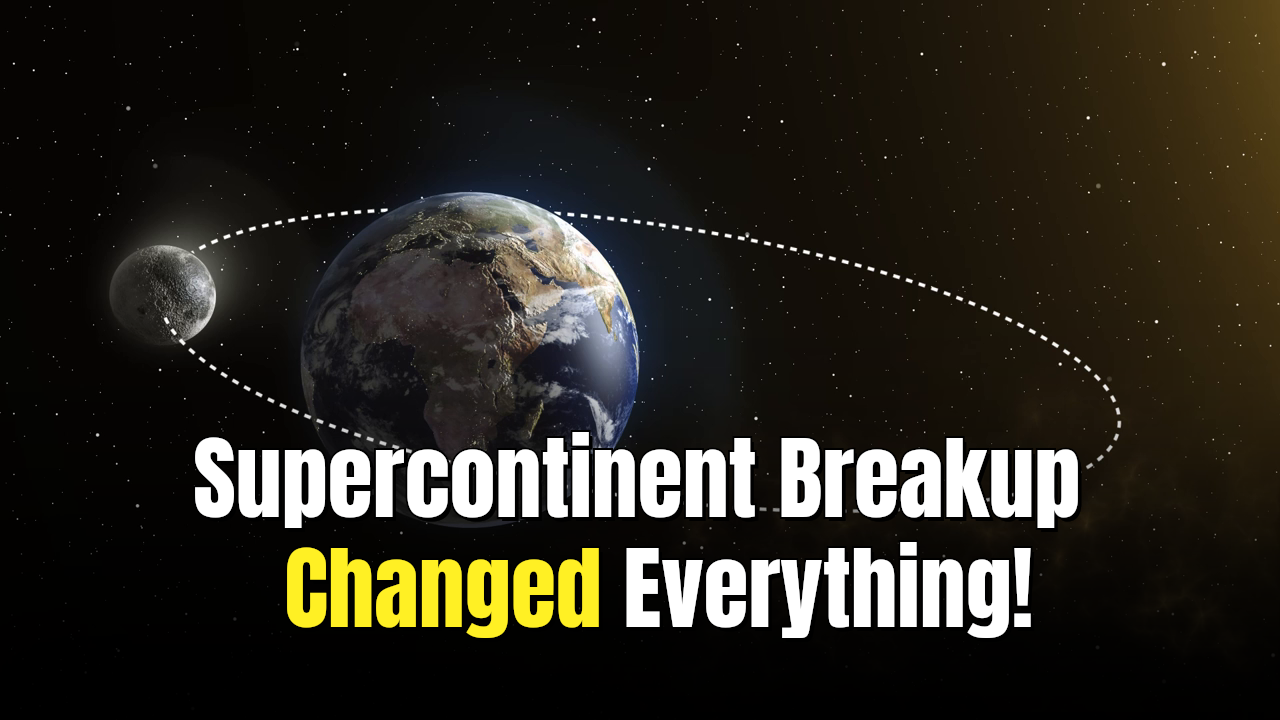 Ancient tectonic shifts cooled Earth and paved the way for complex life