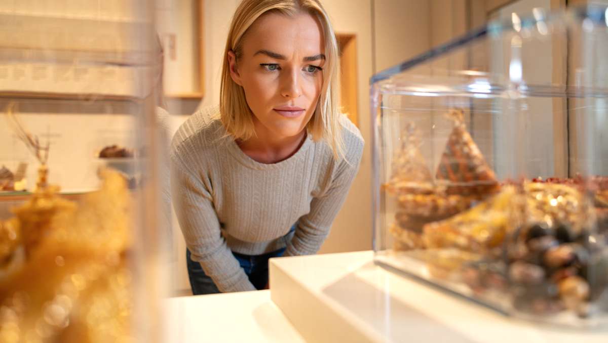 This is the Disgusting Food Museum in Sweden: the most disgusting (and ...