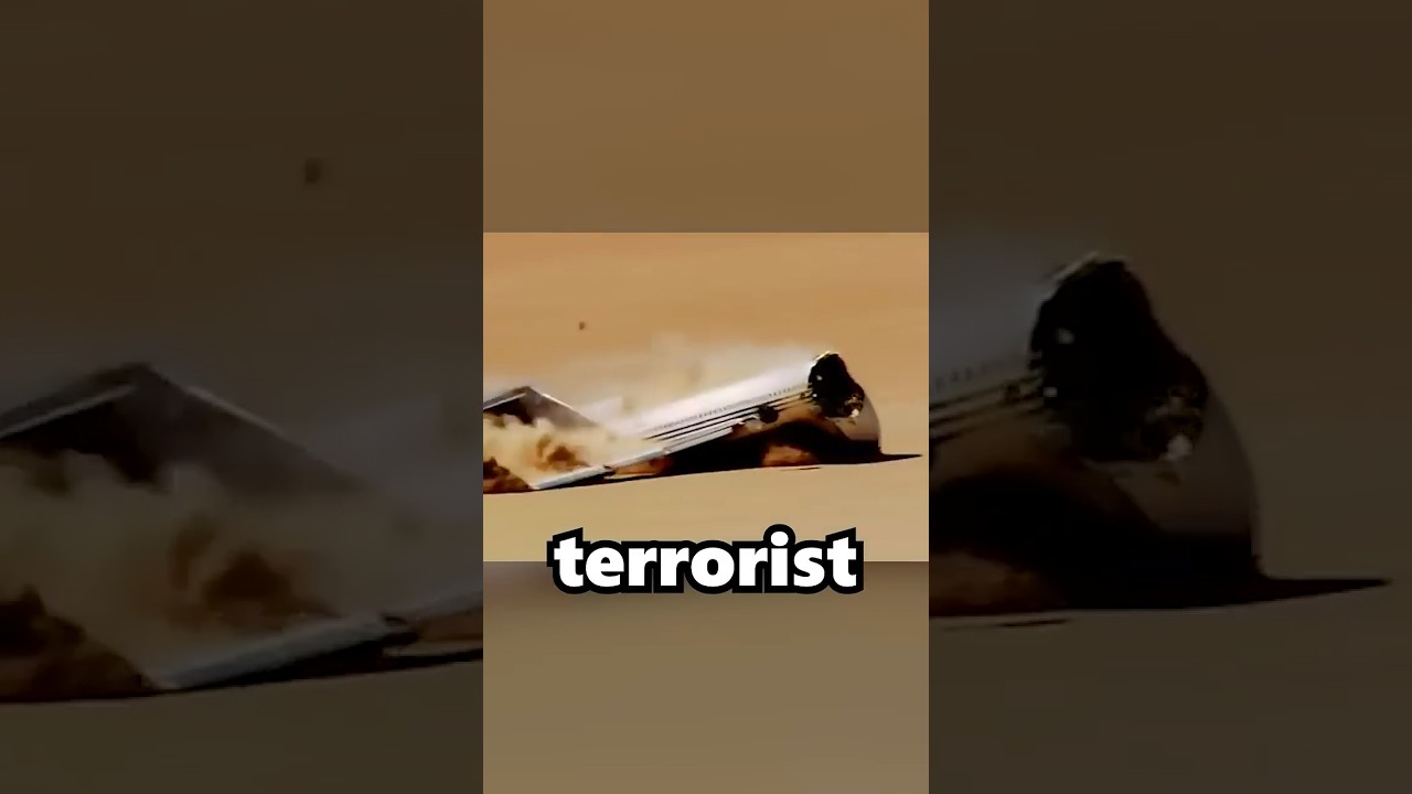 Why This Airplane Crashed on Purpose?!
