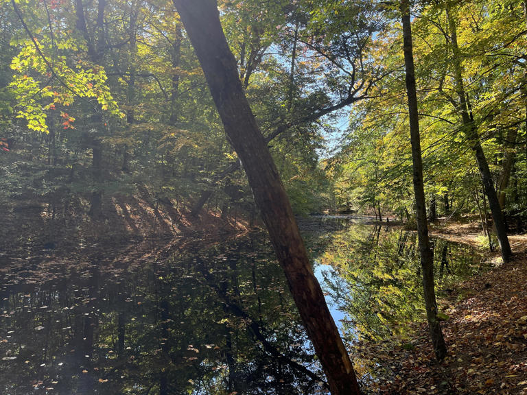 Fall wonders and a trail reroute: My experience completing the Mammoth ...