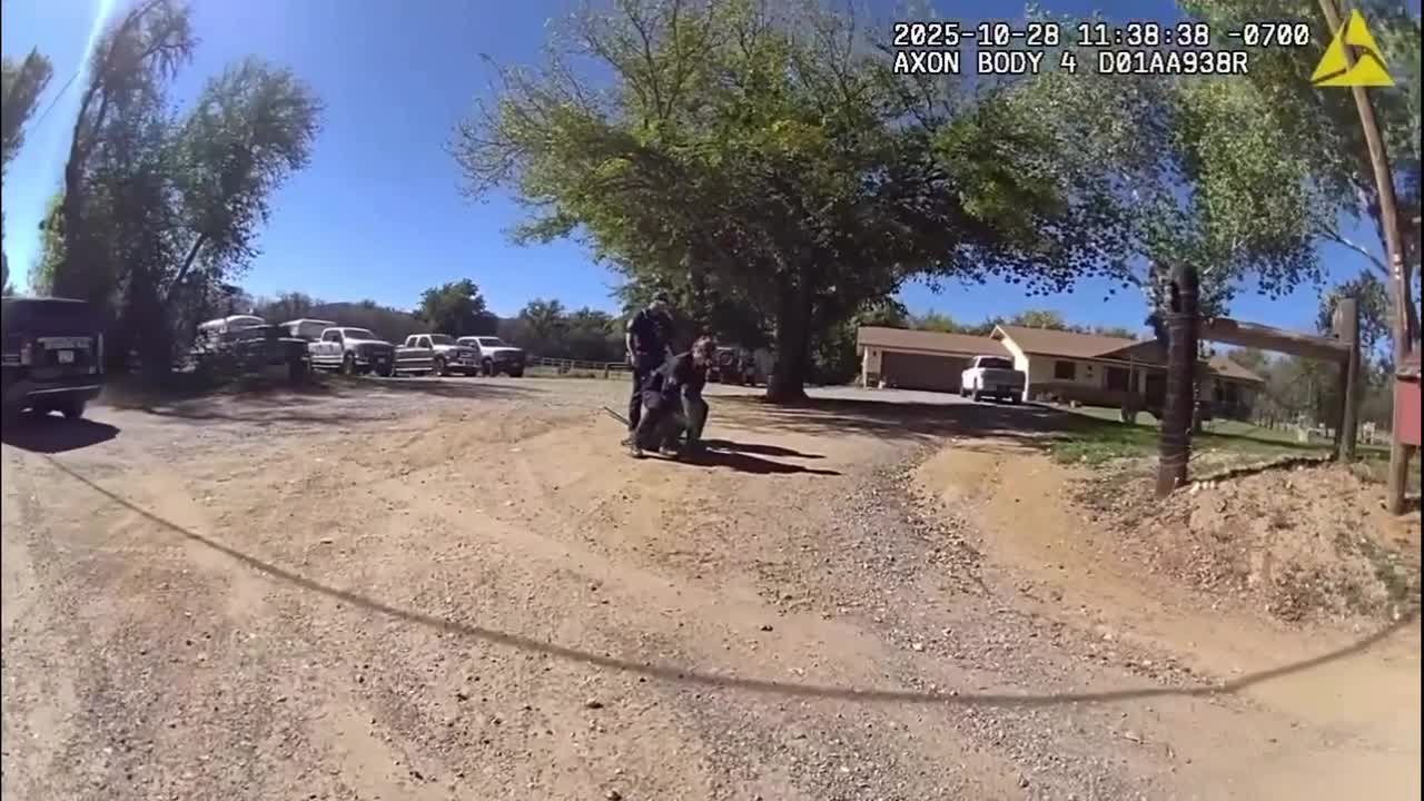 Escaped emu sparks police chase in Cottonwood, Arizona