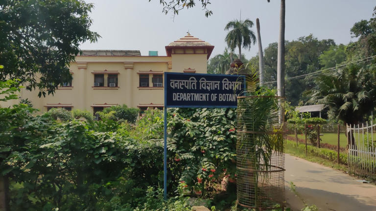 Ganga has been the lab for this BHU professor. It has earned him a ...