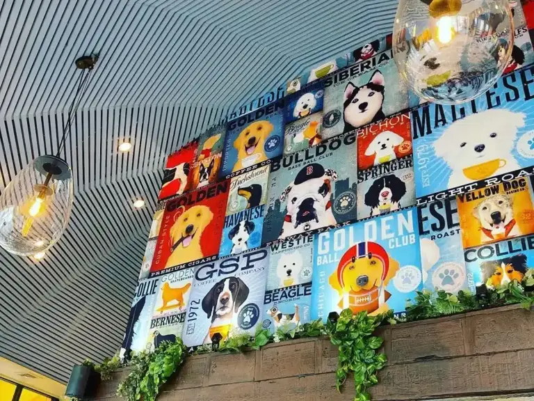 What’s New in North Hills: The Latest Openings, Expansions & Buzz ...