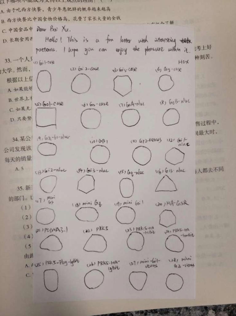 3 more Chinese researchers at University of Michigan charged over ...