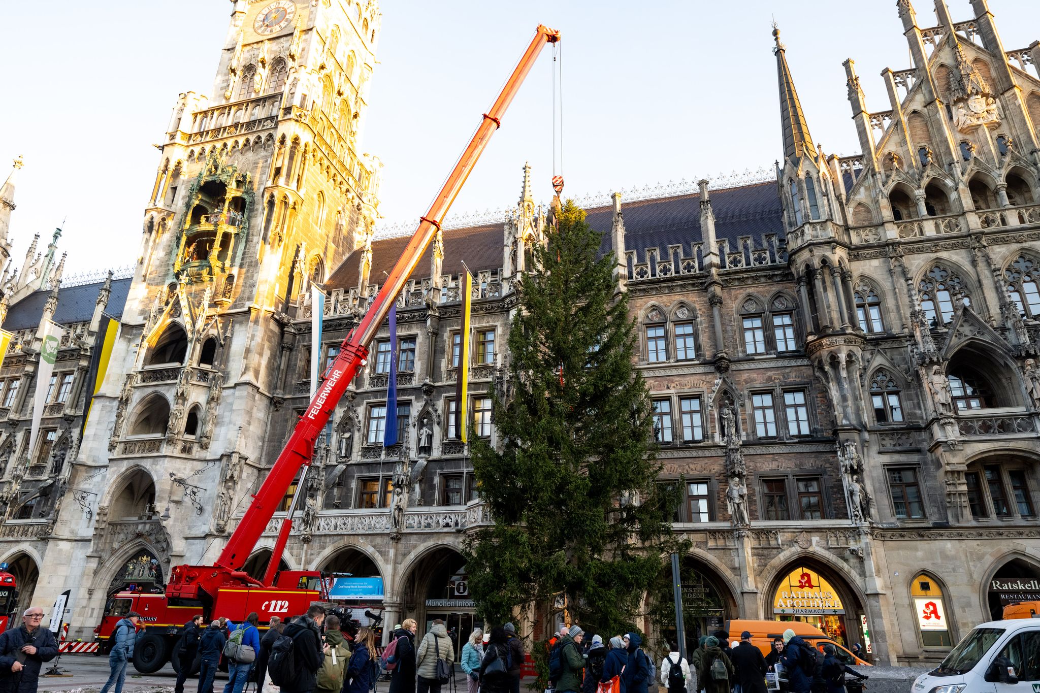 Tiroler Christbaum ziert Münchens Marienplatz