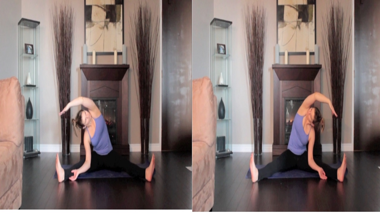 Yoga Asanas Series Episode 60 - Seated Poses (Revolved Head To Knee ...