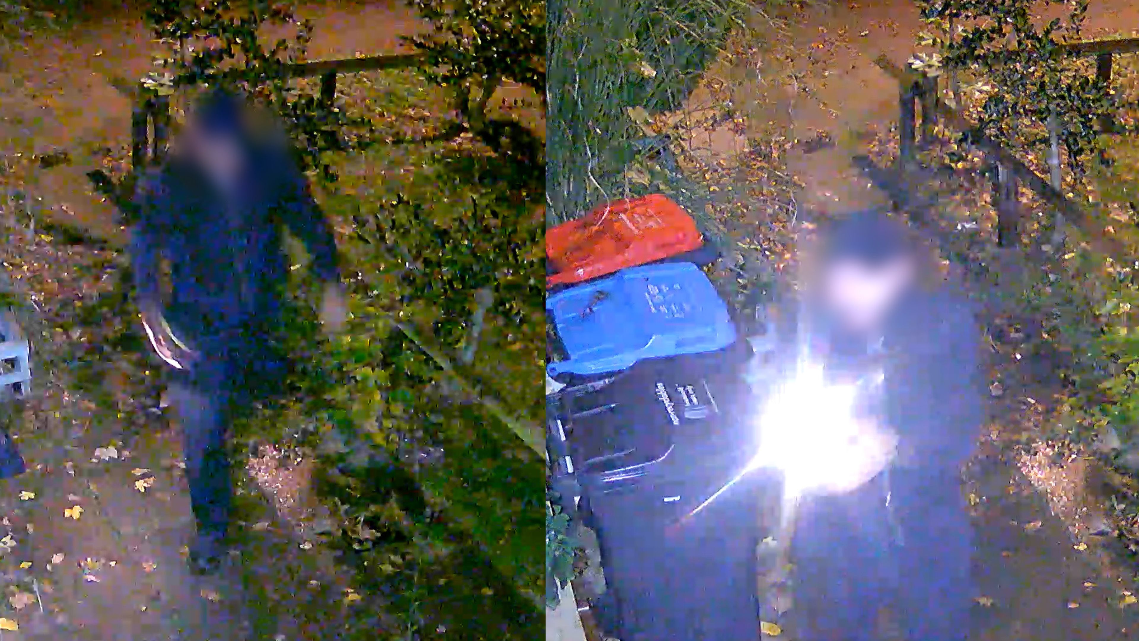 Doorbell camera captures delivery driver throwing and kicking parcel