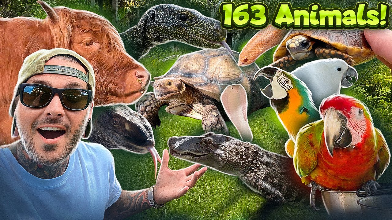 Meet the Entire Animal Family Living on the Property