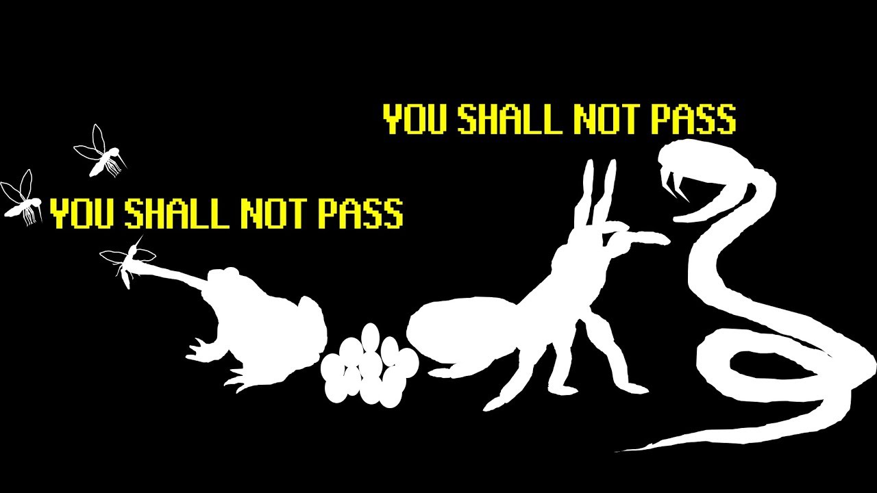 Ultimate Animal Team Combos You Need to Know