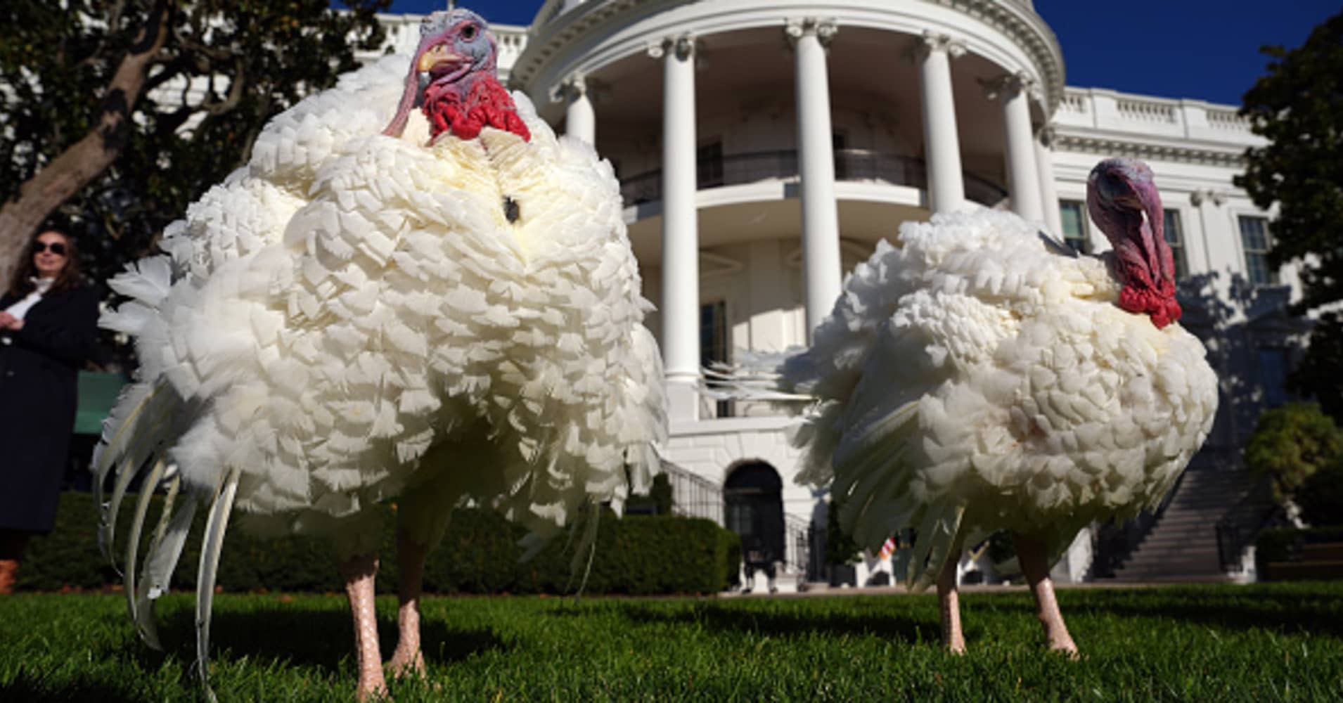 Why Thanksgiving turkey prices might give shoppers a shock this season