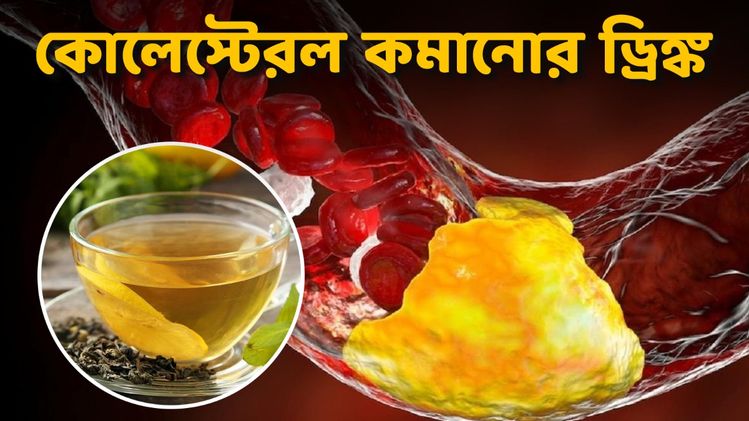 High Cholesterol Control Drinks: হু হু করে কমবে খারাপ কোলেস্টেরল, সুস্থ ...