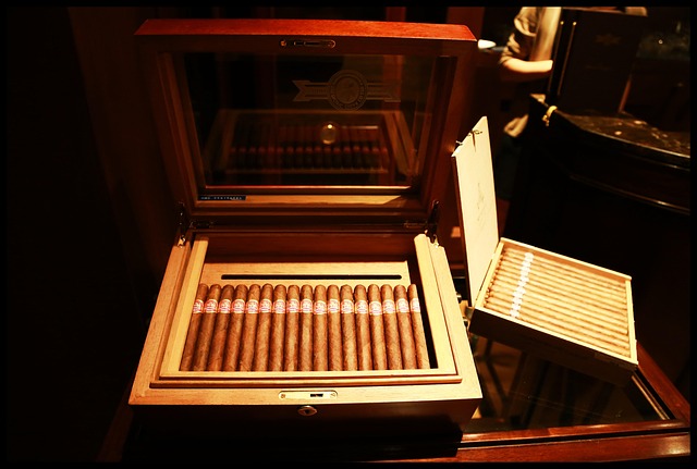 How to start your cigar collection: a beginner’s guide to choosing ...