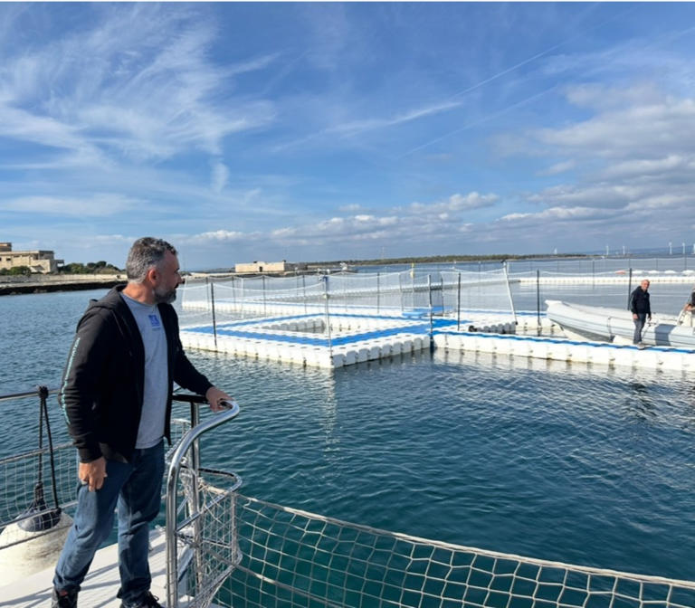 Ultimate le opere a mare del San Paolo Dolphin Refuge di Taranto