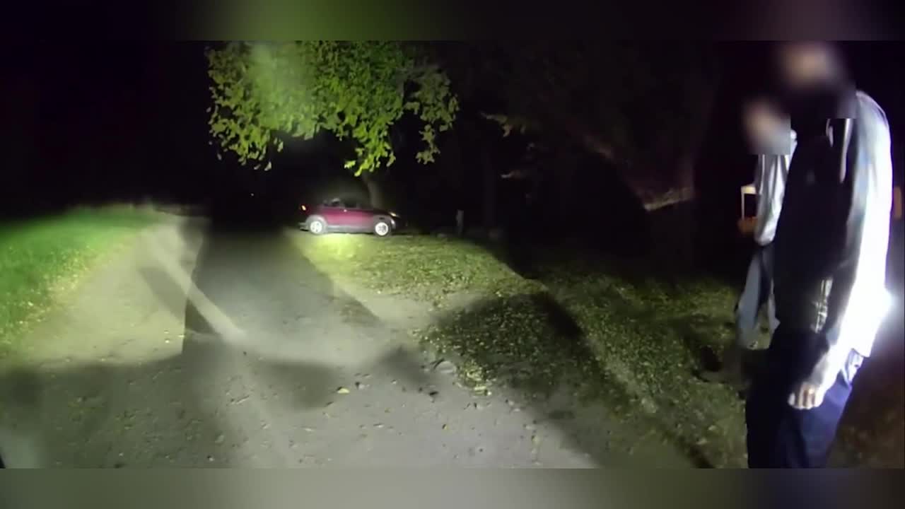 Police rescue large bear trapped inside car in Colorado