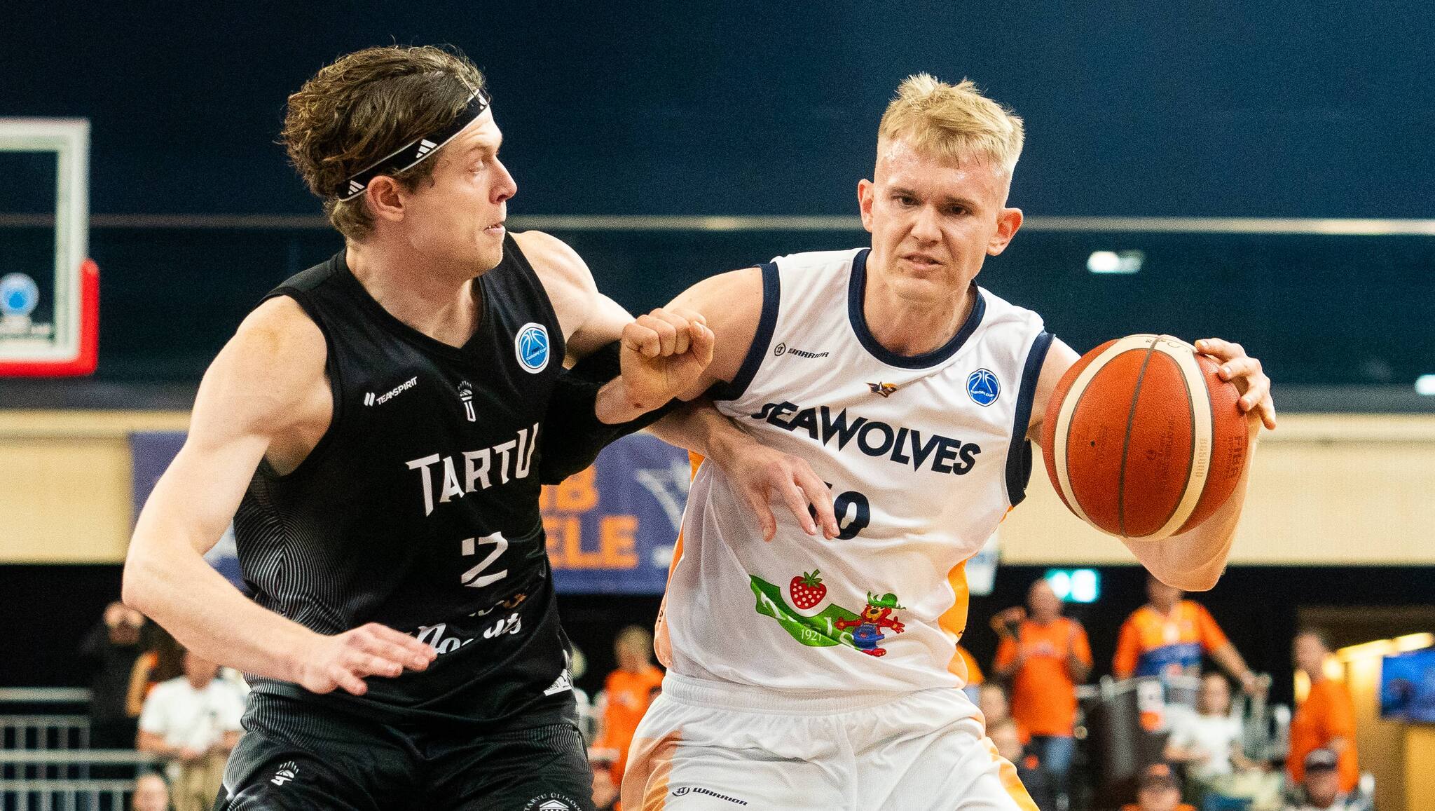 Rostock Seawolves im Europe Cup: Das wegweisende Spiel in Sopot am ...