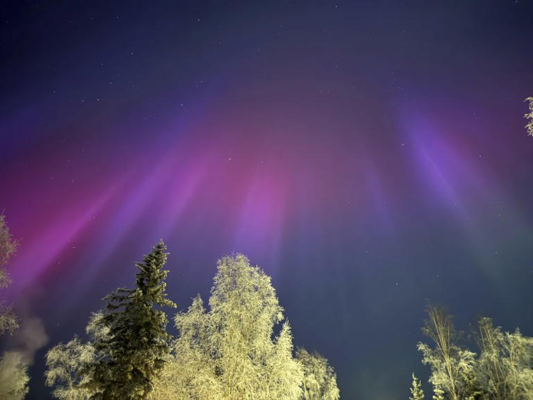 MAP: Nearly half of US may see the northern lights Thursday