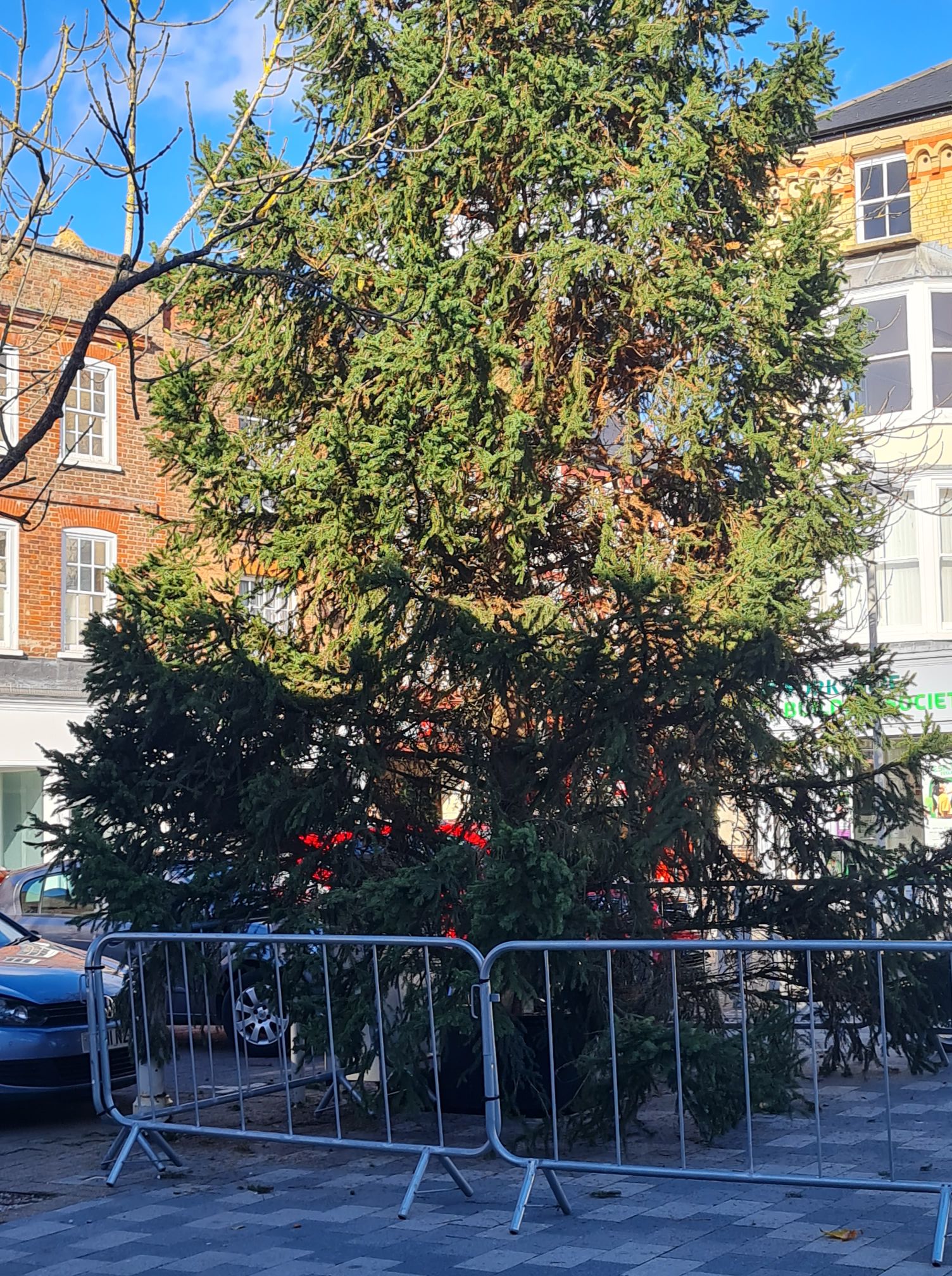 Town’s ‘half dead’ Christmas tree replaced after council brands it a ...